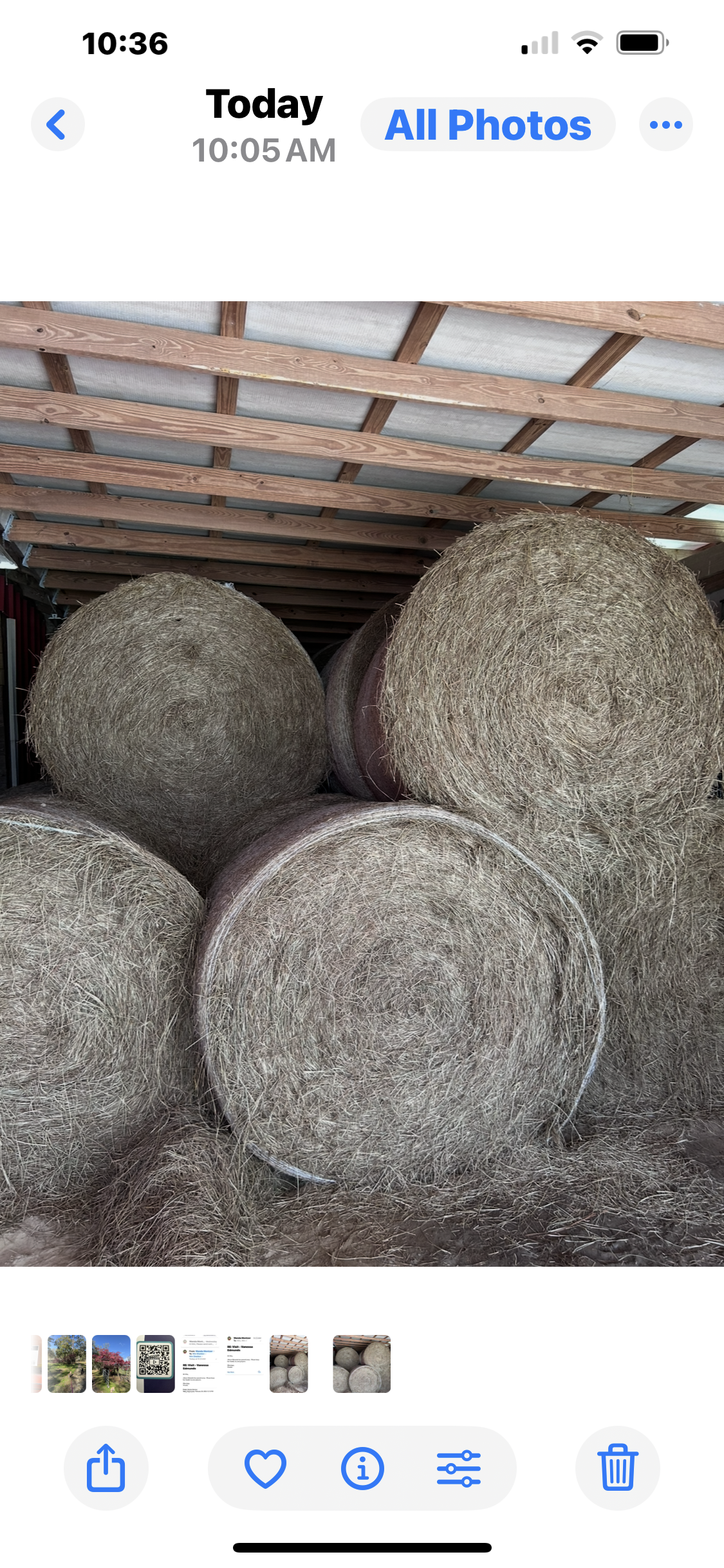 29 rolls cattle hay | Ocala4Sale | Buy & Sell in Ocala, FL