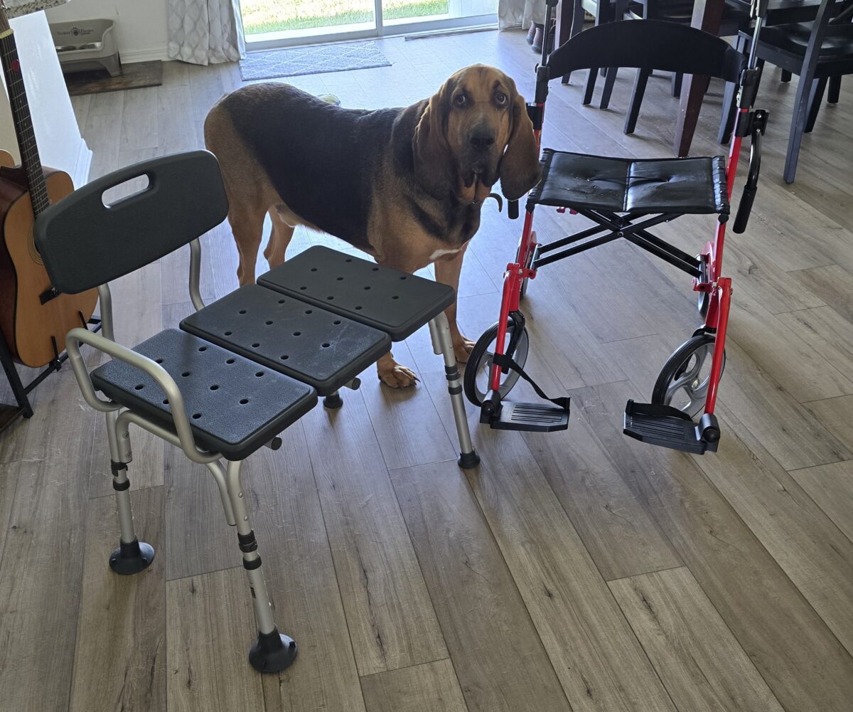 Walker/transport chair and tub transfer bench. | Ocala4Sale | Buy ...